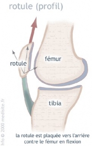 La rotule du runner : une mécanique fine et fragile qui doit faire face ...