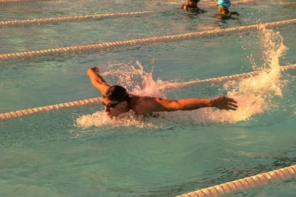 Les muscles du nageur – Lepape-Info