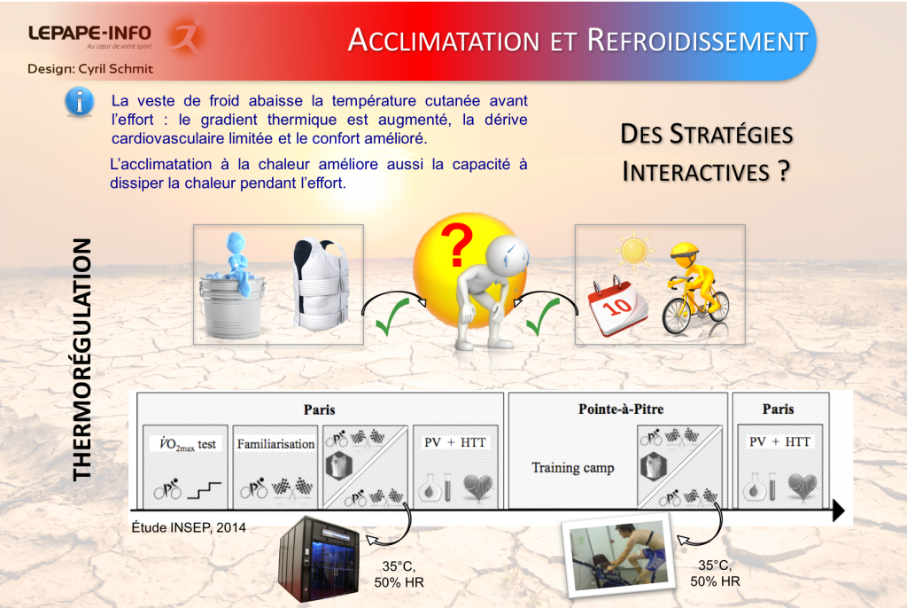 Acclimatation et refroidissement : des stratégies interactives ...
